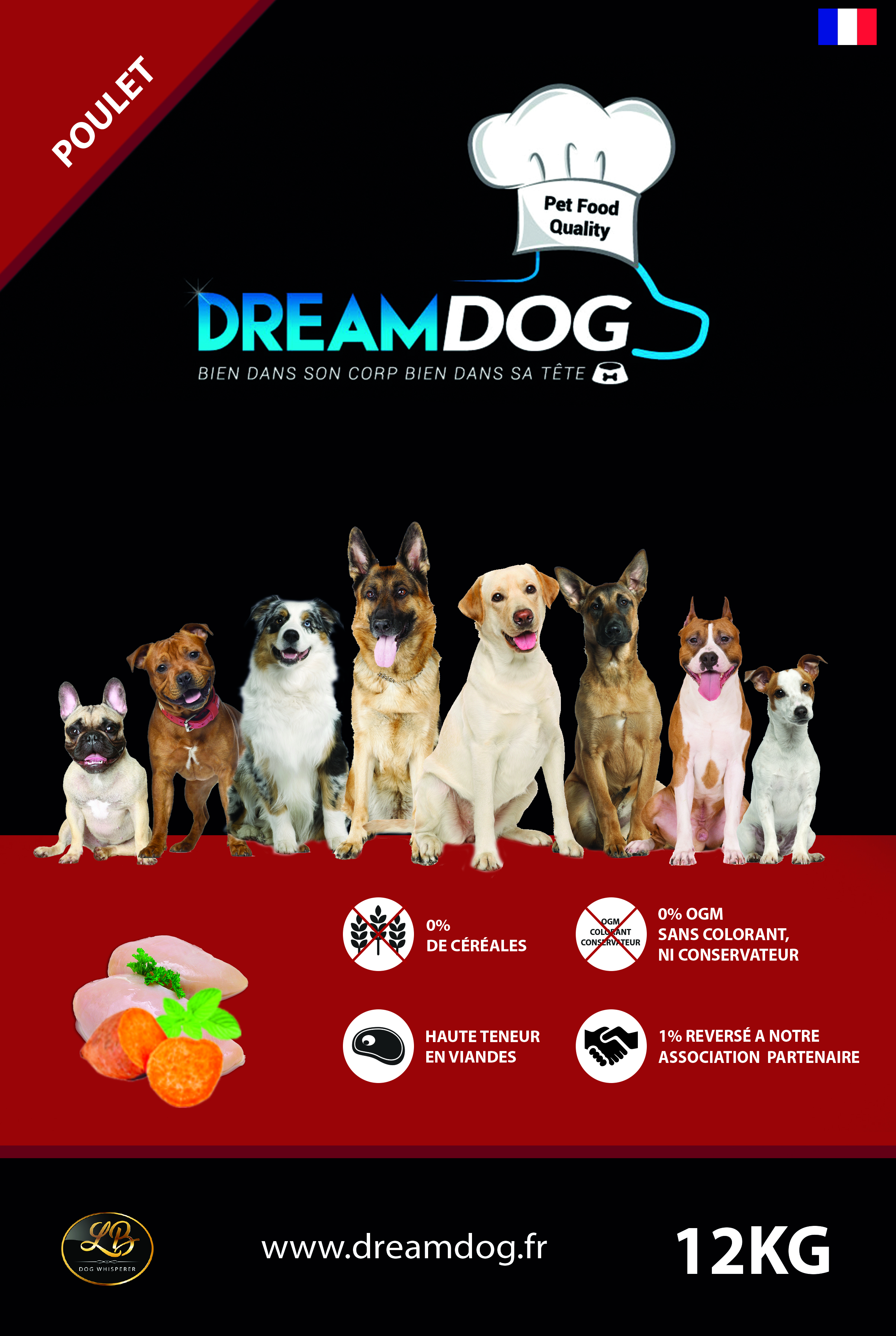 Flyer | Création site web toulouse | Web Studio Agency | Agence web ...