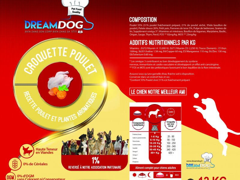 Flyer | Création site web toulouse | Web Studio Agency | Agence web ...